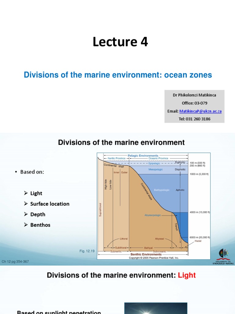 Lecture 4 - Divisions of The Marine Environment | PDF