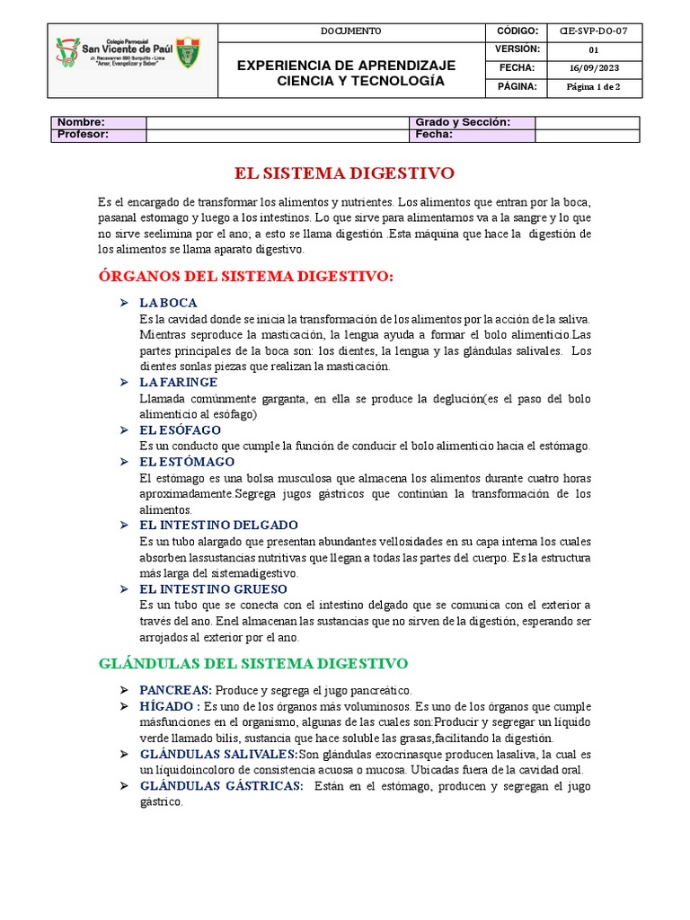 Información - El Sistema Digestivo | PDF | Sistema digestivo humano ...