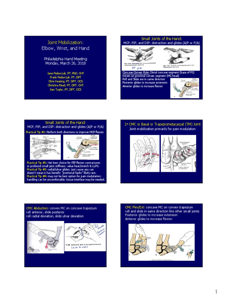 Cs 24 Fedorczyk | PDF