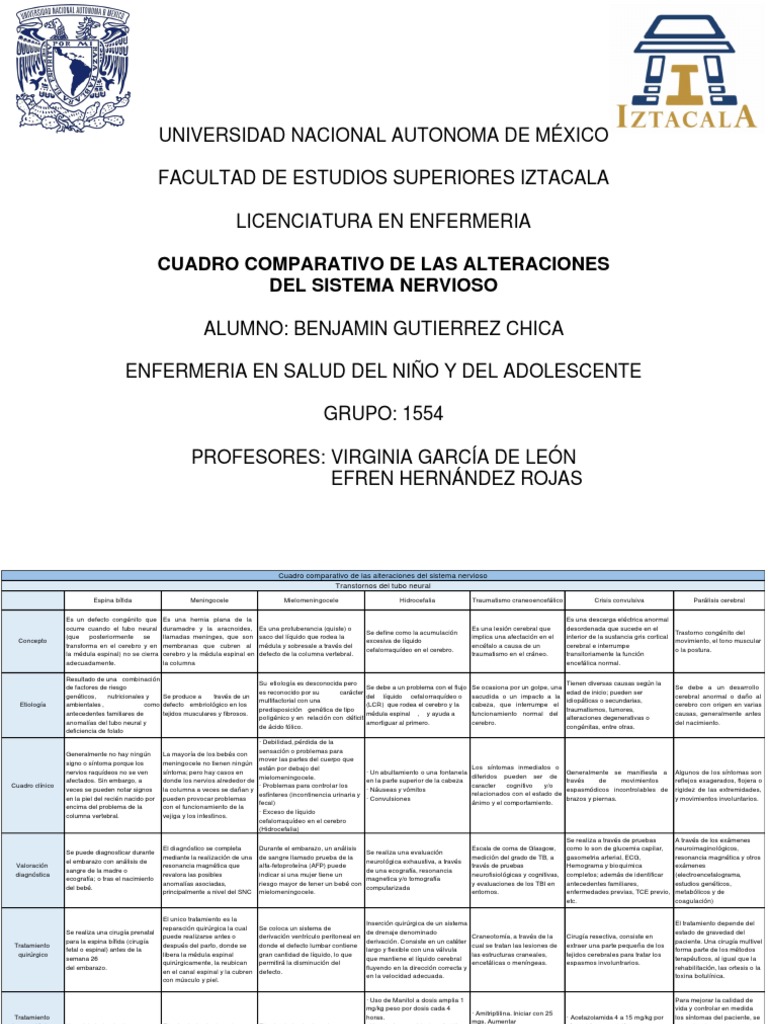 Benjamin Gutierrez | PDF | Sistema nervioso central | Cerebro Benjamin Gutierrez | PDF | Sistema nervioso central | Cerebro