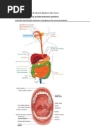 Anatomia das Vísceras Humanas | PDF | Corpo humano | Anatomia