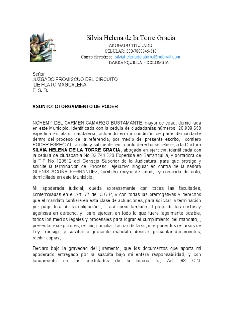 Poder Proceso Circuito Nohemy | PDF