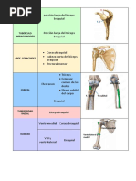 Tróclea - Qué Es, Significado, Ubicación, Función y Lesiones | PDF ...