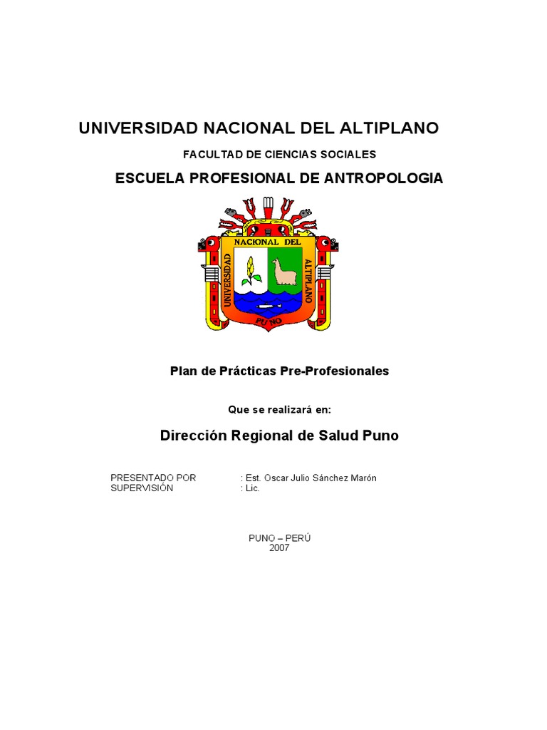 Modelo Del Plan de Practicas | PDF