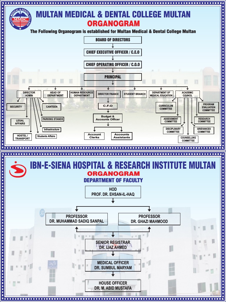 Organogram | PDF | Business | Governance
