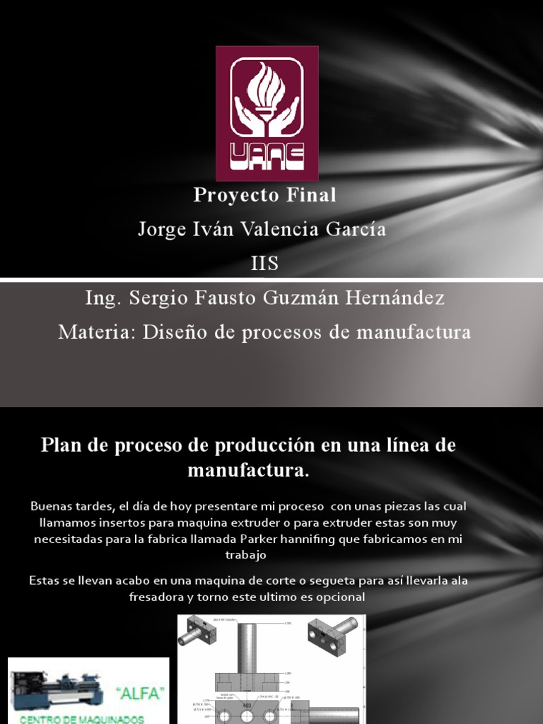 Proyecto Final | PDF