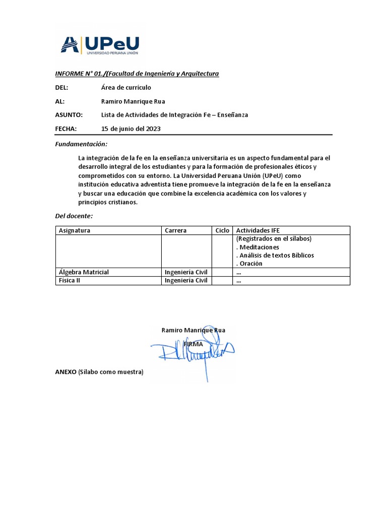 Formato Informe Ife | PDF