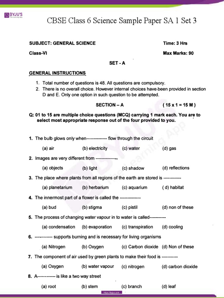 Class 6 Science Question Paper Set A | PDF | Leaf | Water