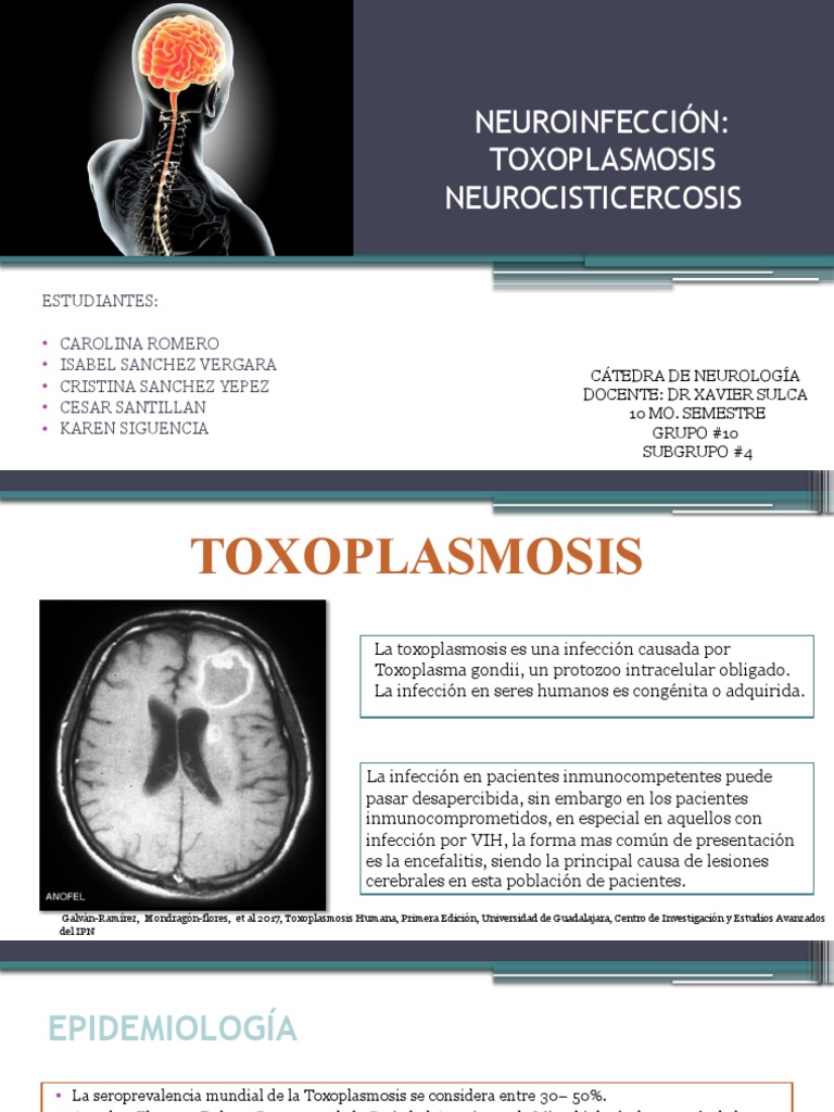 Toxoplasmosis y Neurocisticercosis: Infecciones Cerebrales | PDF