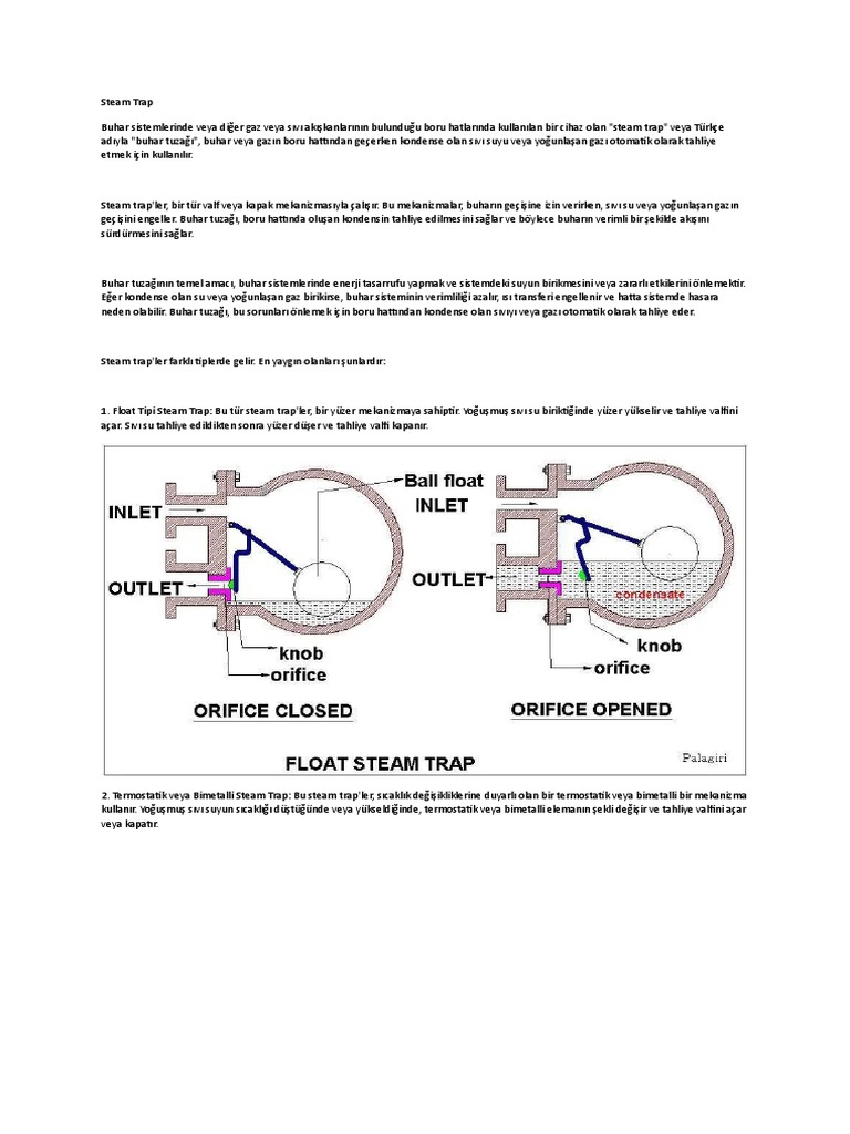 Steam Trap Pdf