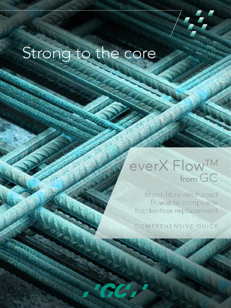 Ever X Flow | PDF