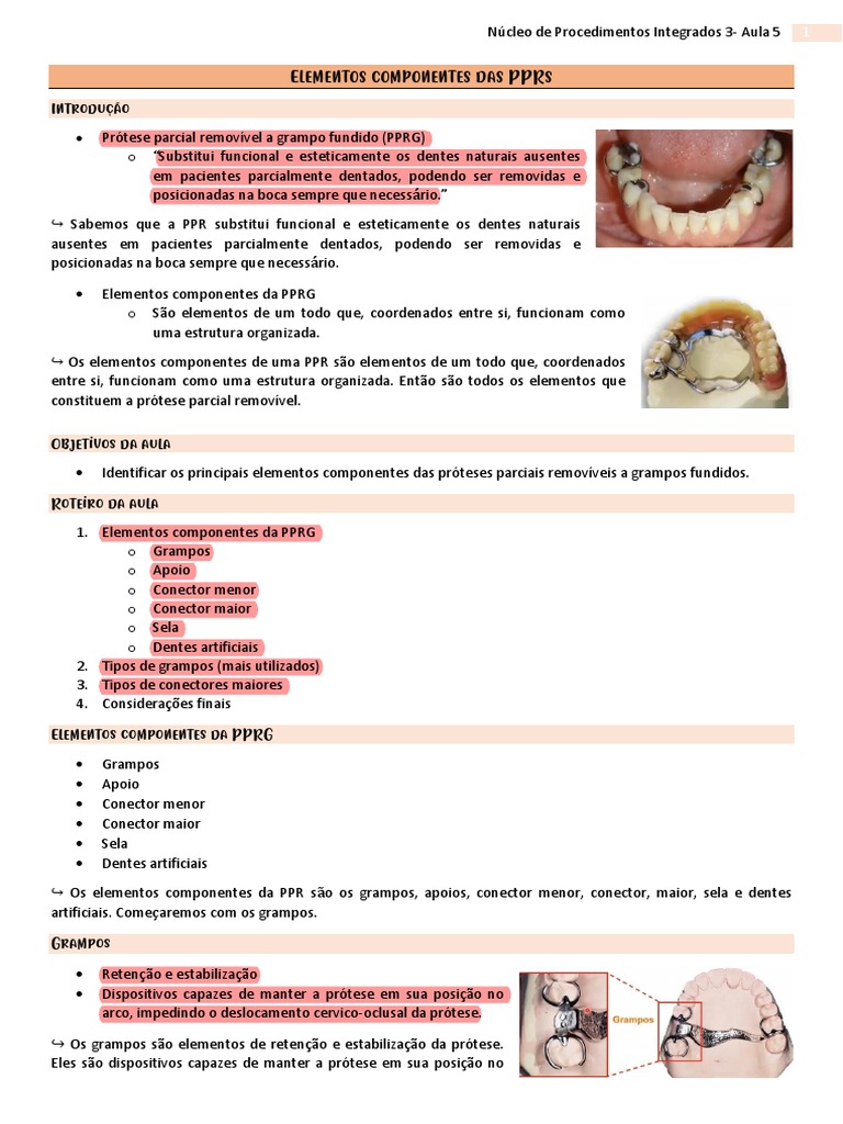 Aula 3 NPI 3 - Elementos Componentes Da PPR | PDF