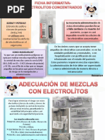 Electrolitos Concentrados (Cuidados de Resguardo, Marco Legal, Acciones Previas A La ...