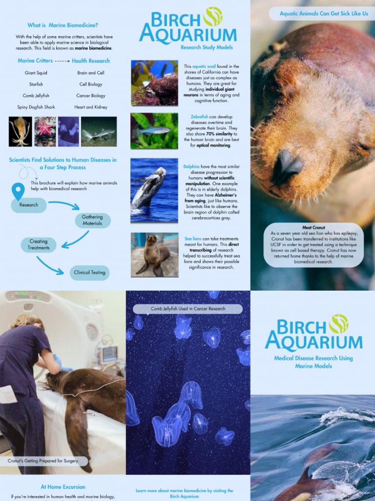 Birch Aquarium Full Res Brochure | PDF