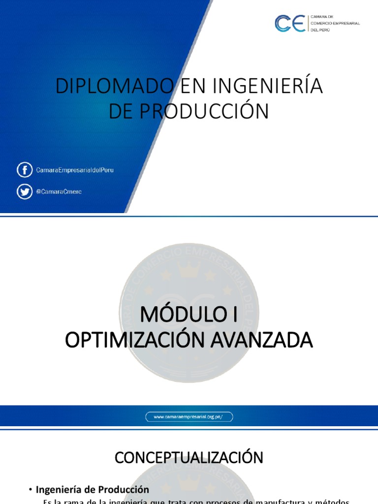 1 - Optimizacion Avanzada | PDF
