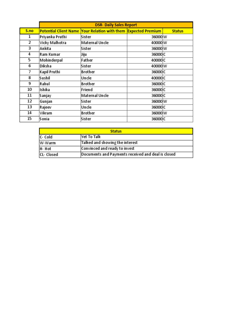 DSR-Sample Format-1 by Meenakshi Aneja | PDF