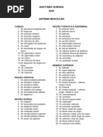 Nomes de 100 Músculos Do Corpo Humano | PDF | Sistema Locomotor ...