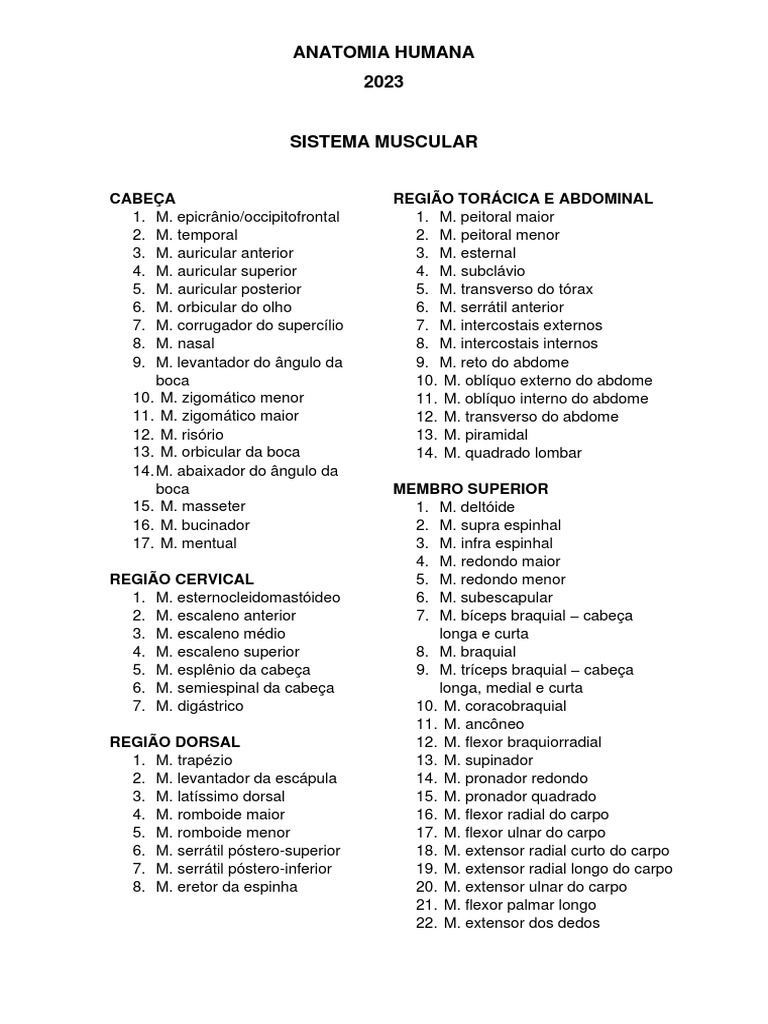 Roteiro Sistema Muscular - 2023 | PDF | Polegar | Anatomia humana