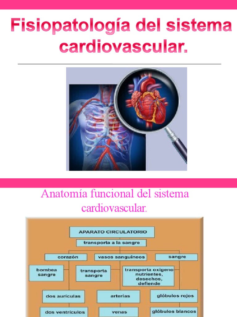 Fisiopatología Del Cardiovascular | PDF | Corazón | Sistema circulatorio