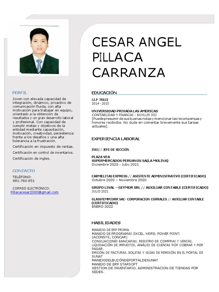 CV Pillaca Cesar | PDF