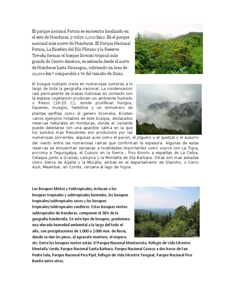 Bosques de Honduras | PDF