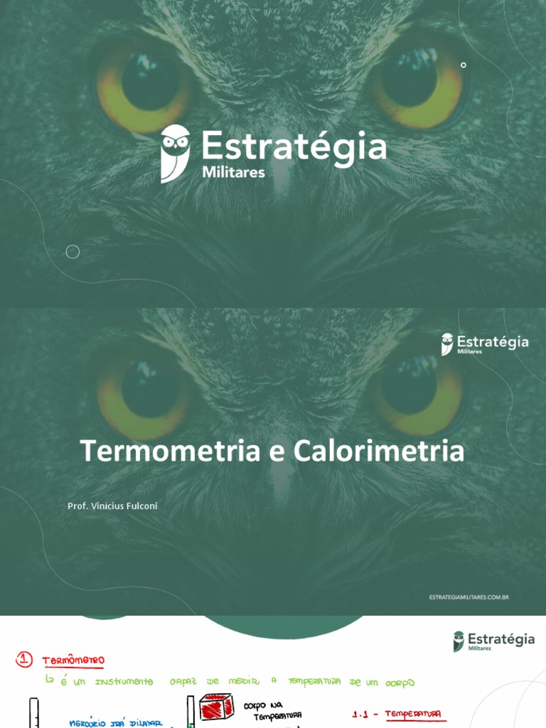 Slides - 04 - Termologia | PDF
