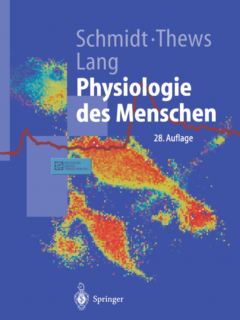Physiologie Des Menschen - Schmidt:Thews | PDF