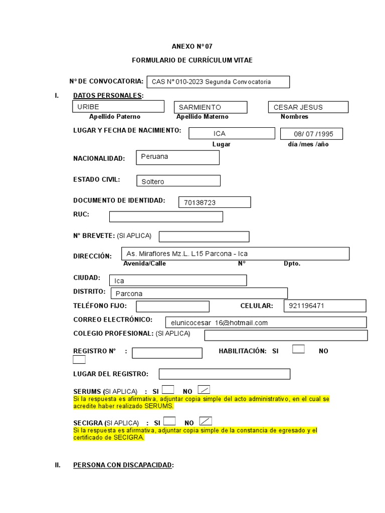 ANEXO 7 - FORMATO FICHA CURRICULUM VITAE - Signed | PDF
