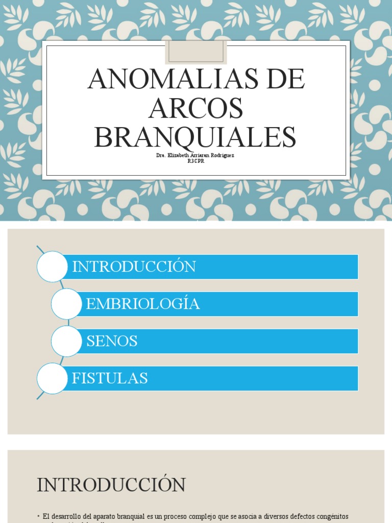 arcos branquiales | PDF