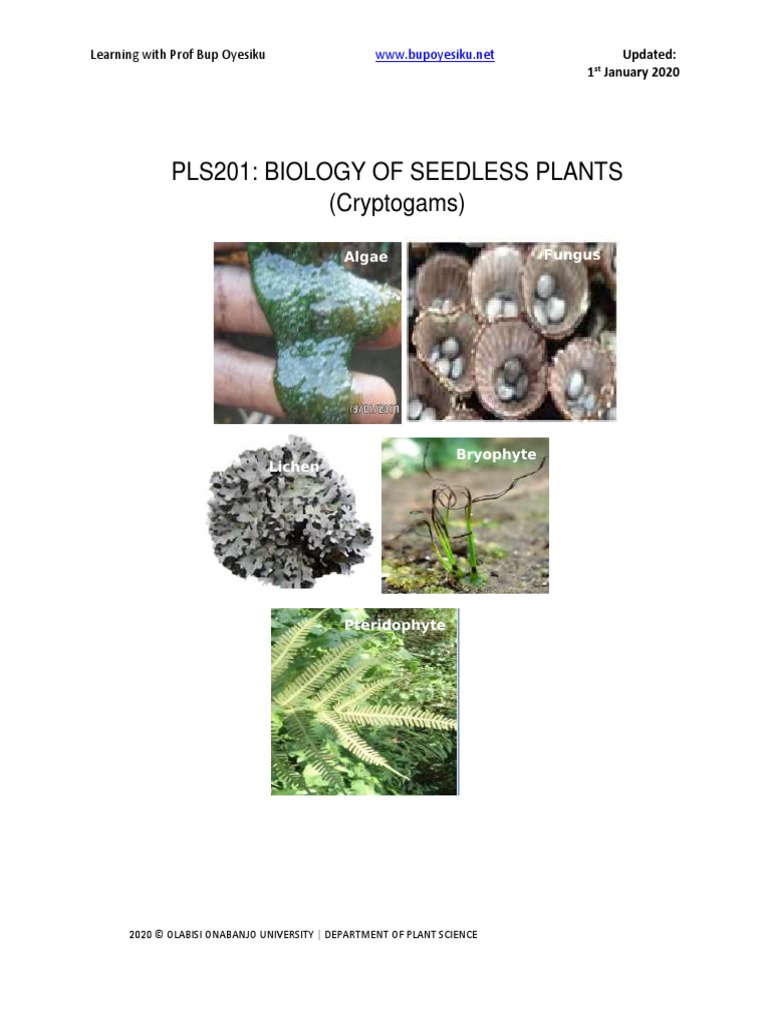 412_COURSES_Seedless_Plants_(Cryptogams)_8191 | PDF