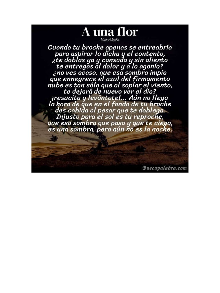 Poema de Manuel Acuña A UNA FLOR | PDF