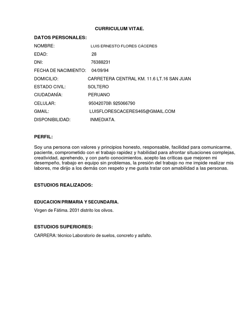 CV Luis Flores 2022 Actualizado | PDF