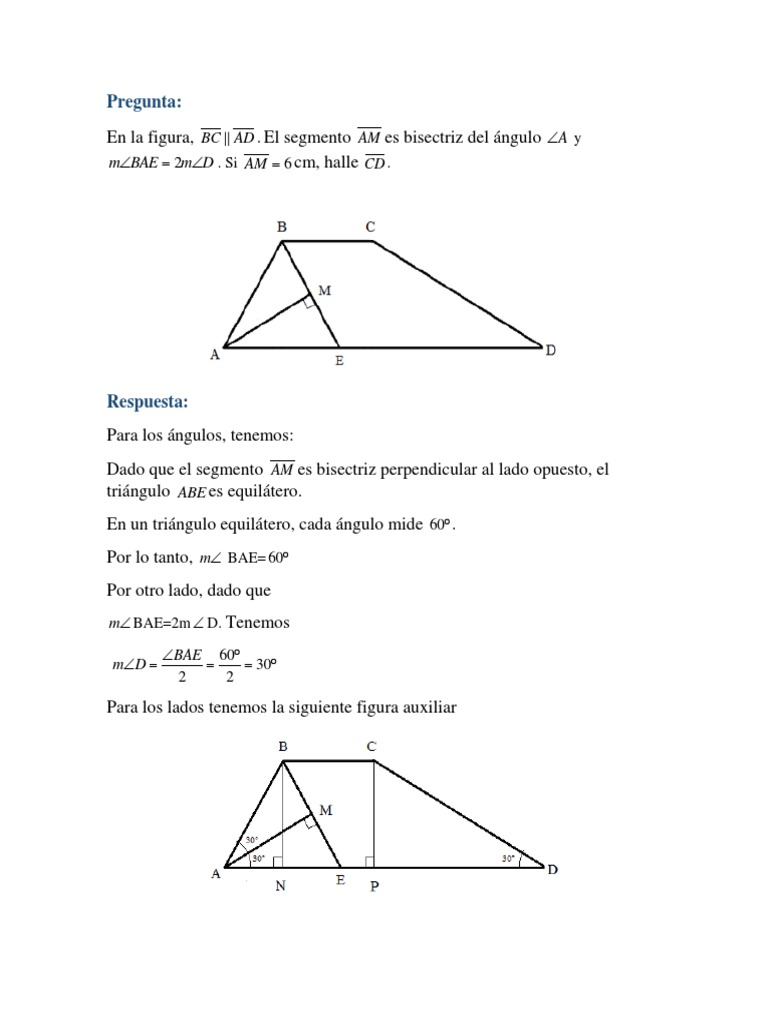 Triangulo 1 Z | PDF