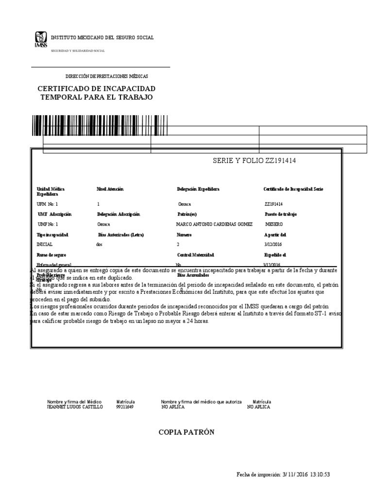 Formato Incapacidad Imss Editable Word | PDF