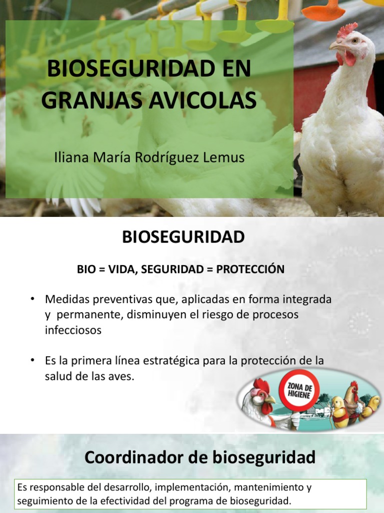 Bioseguridad en Granjas Avícolas | PDF