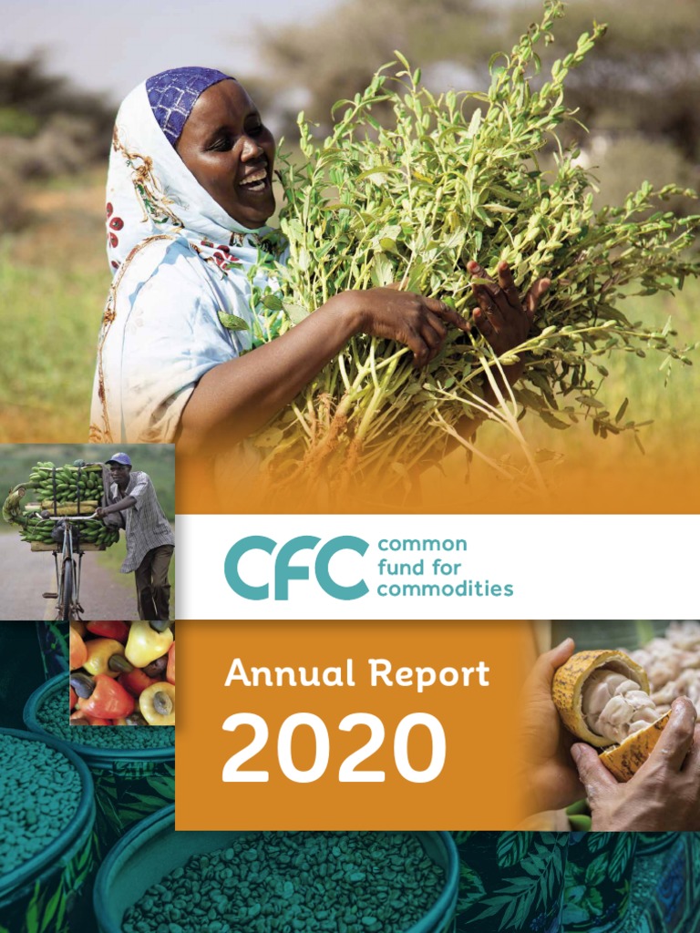 CFC Annual Report 2020 (P) | PDF | Sustainability | Economies