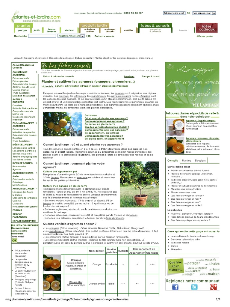 Planter Et Cultiver Les Agrumes Fiches Conseils | PDF