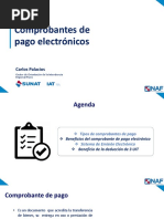 NAC-DGERCGC18-00000233 Entrega Comprobantes Electronicos | PDF