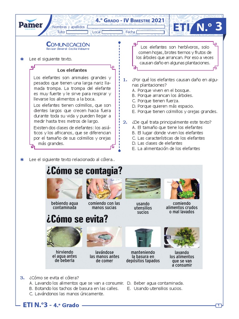 ETI N°3 - 4° Grado | PDF