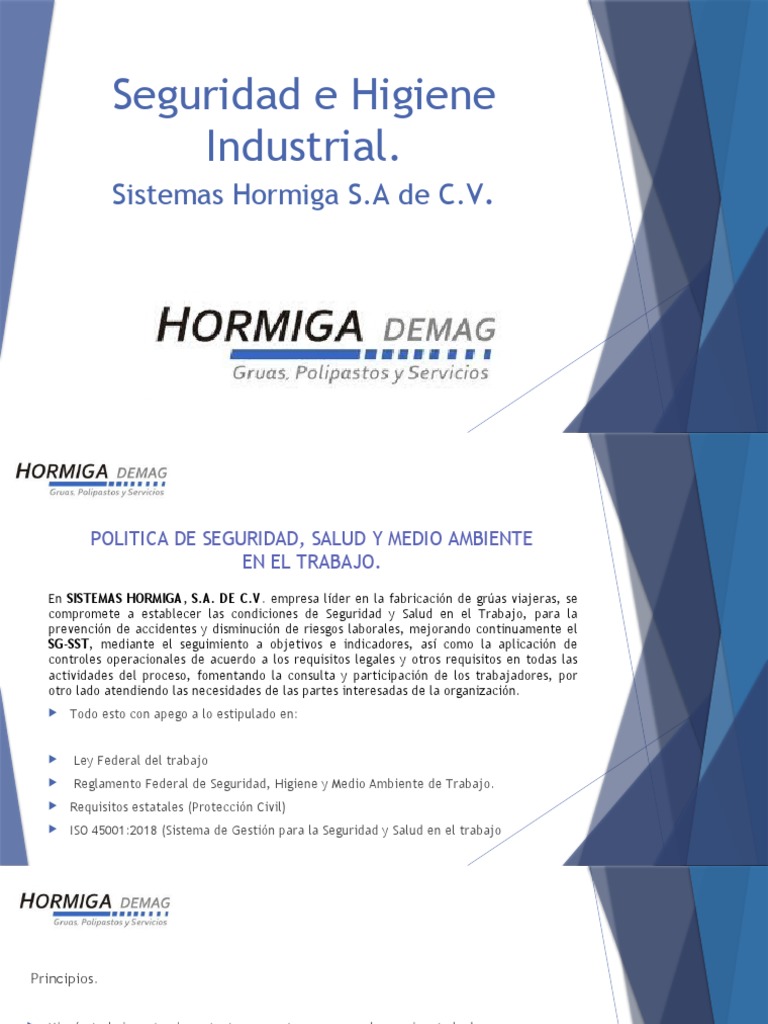 Reglamento de Seguridad e Higiene Industrial ACTUALIZADO | PDF | Valores | Higiene Ocupacional
