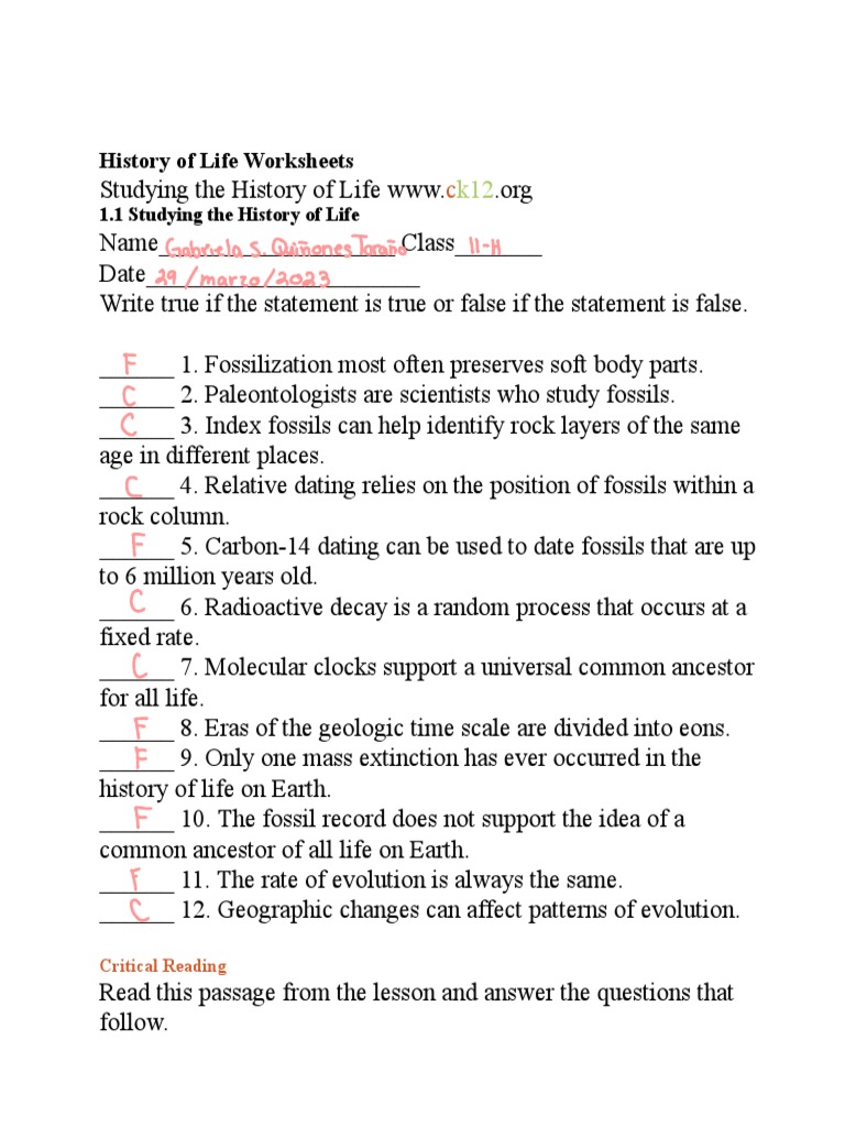 History of Life Worksheets | PDF | Geologic Time Scale | Earth