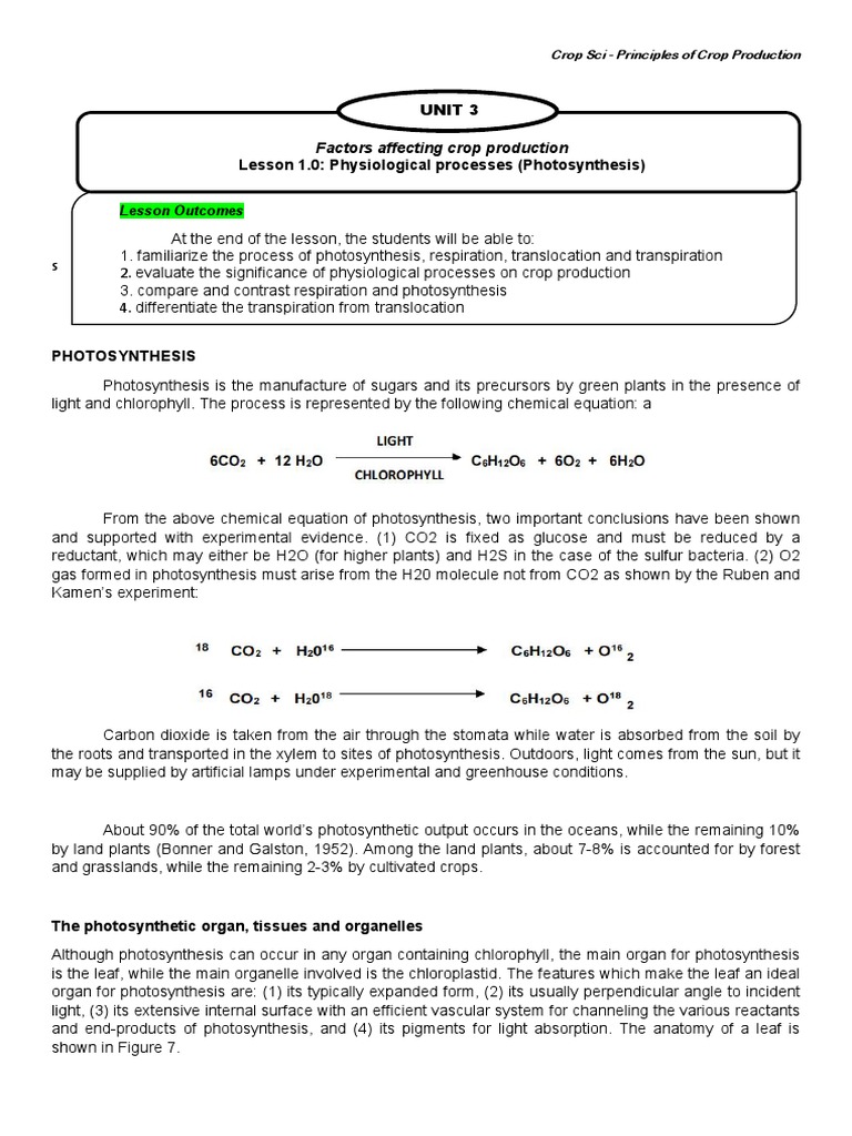 Photosynthesis in Crop Production Principles | PDF | Wellness | Science ...