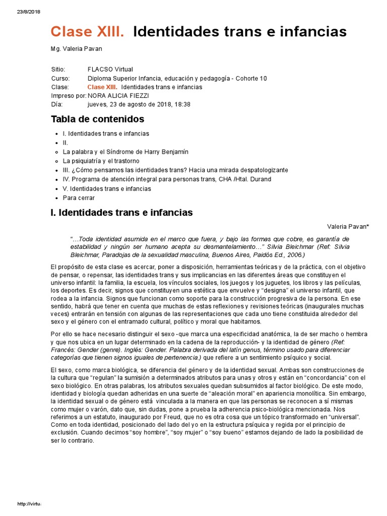 Clase XIII. Identidades Trans e Infancias | PDF | Transgénero ...