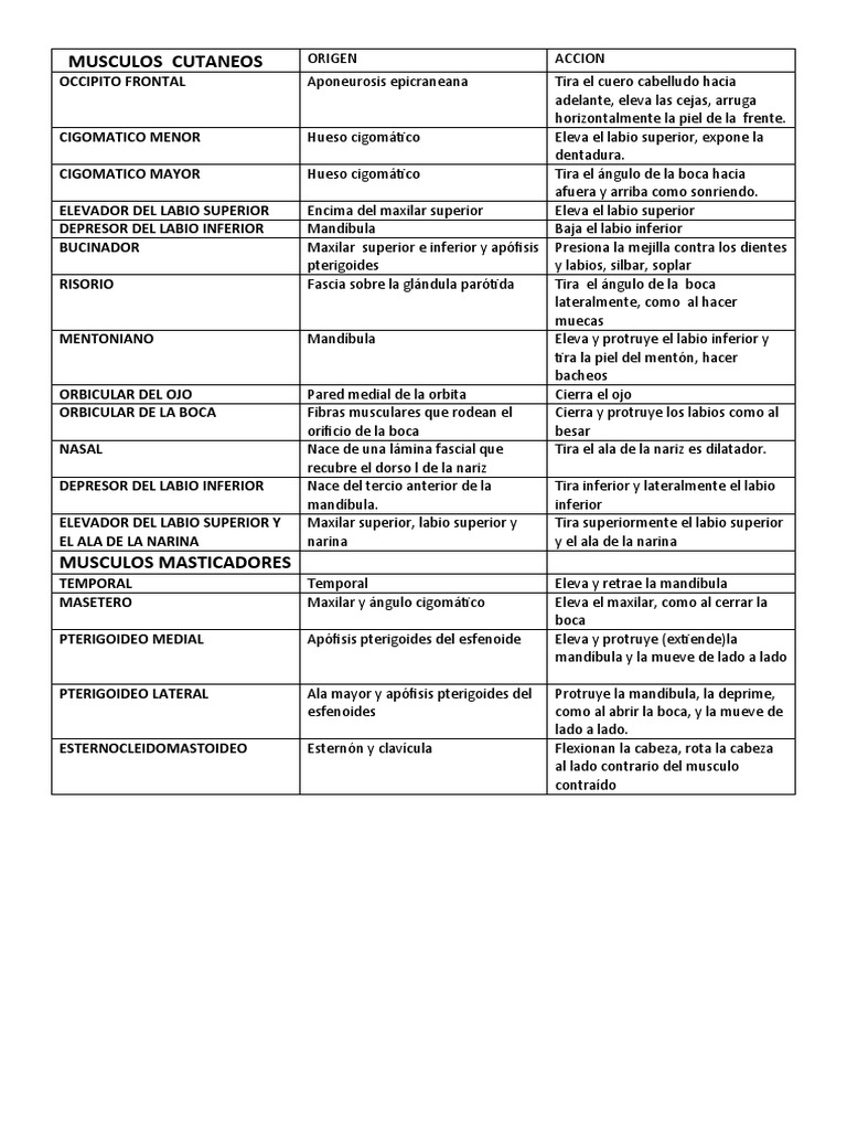 Musculos Cutaneos | PDF | Rasgos faciales | Cara