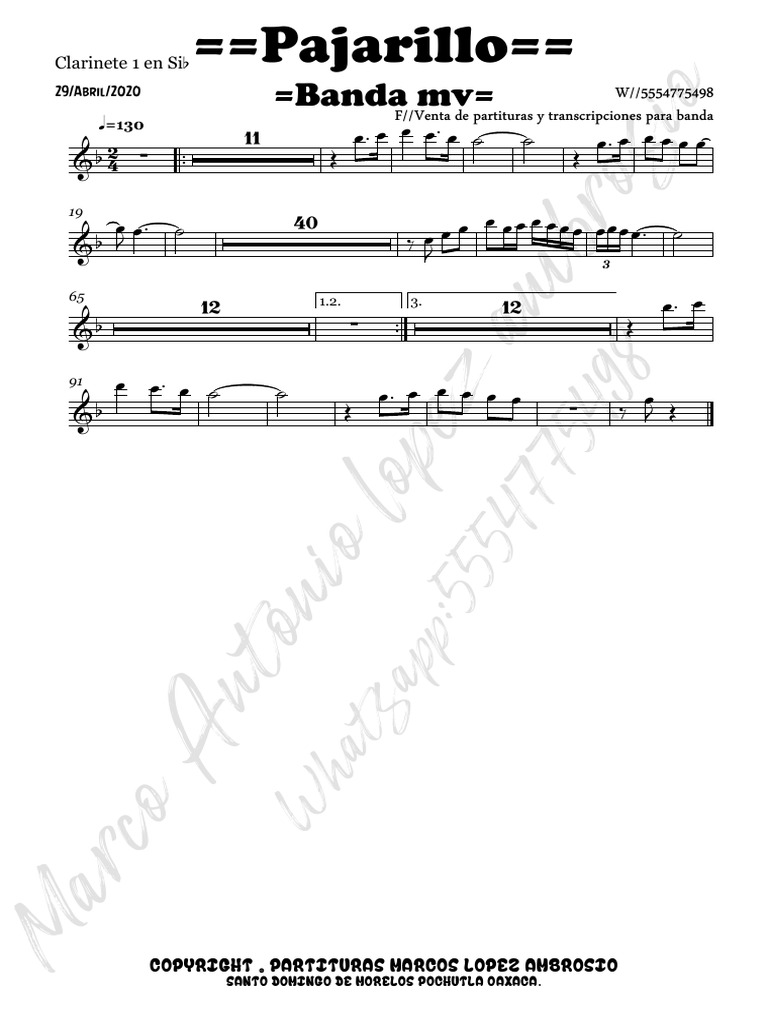 El Pajarillo - Banda MV | PDF