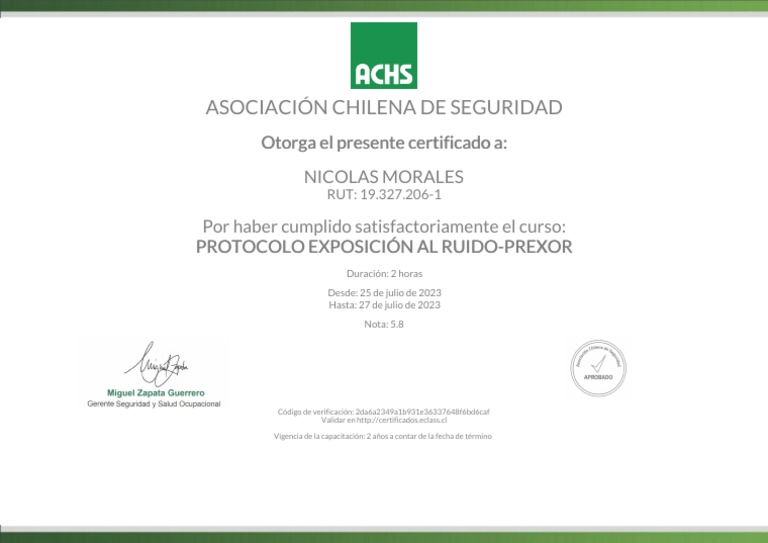 Protocolo Exposición Al ruido-PREXOR | PDF