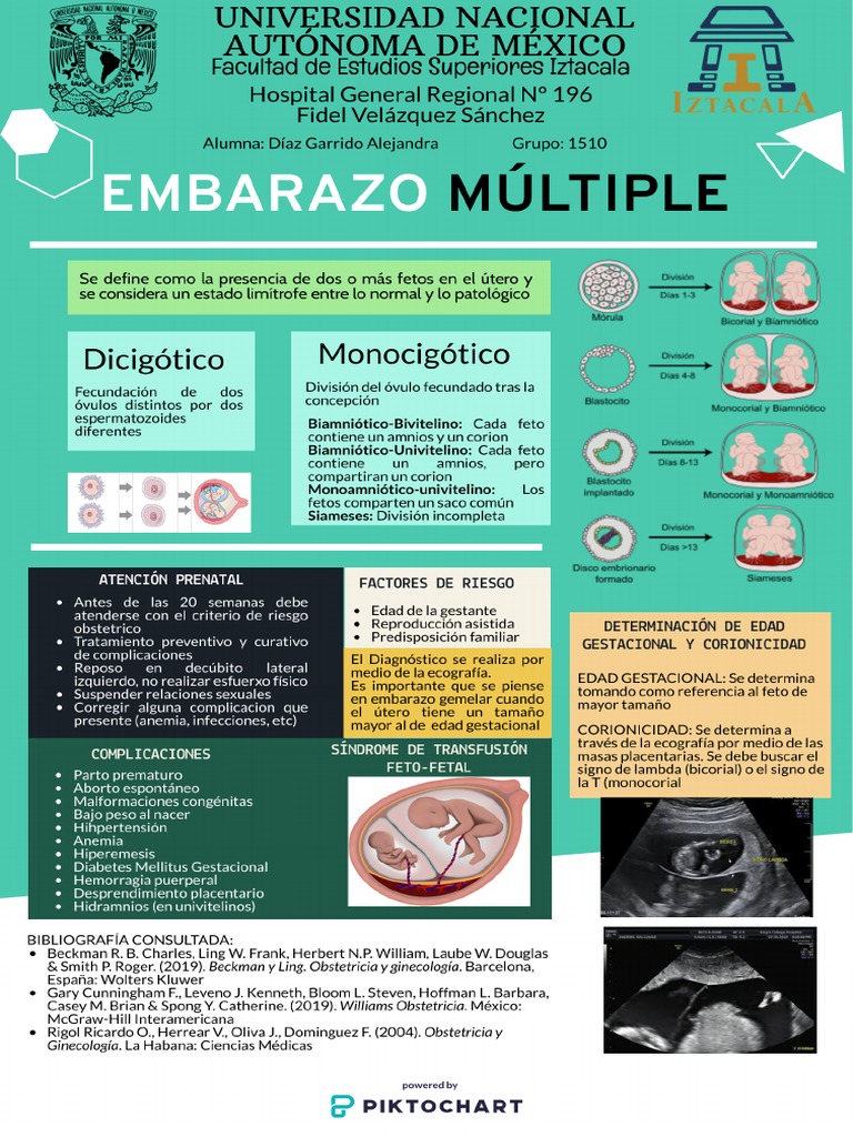 Embarazo Multiple | PDF