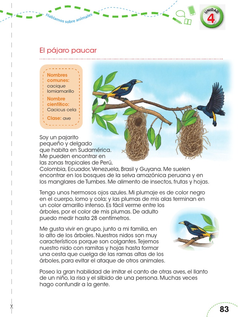 El pájaro paucar: hábitat y características | PDF