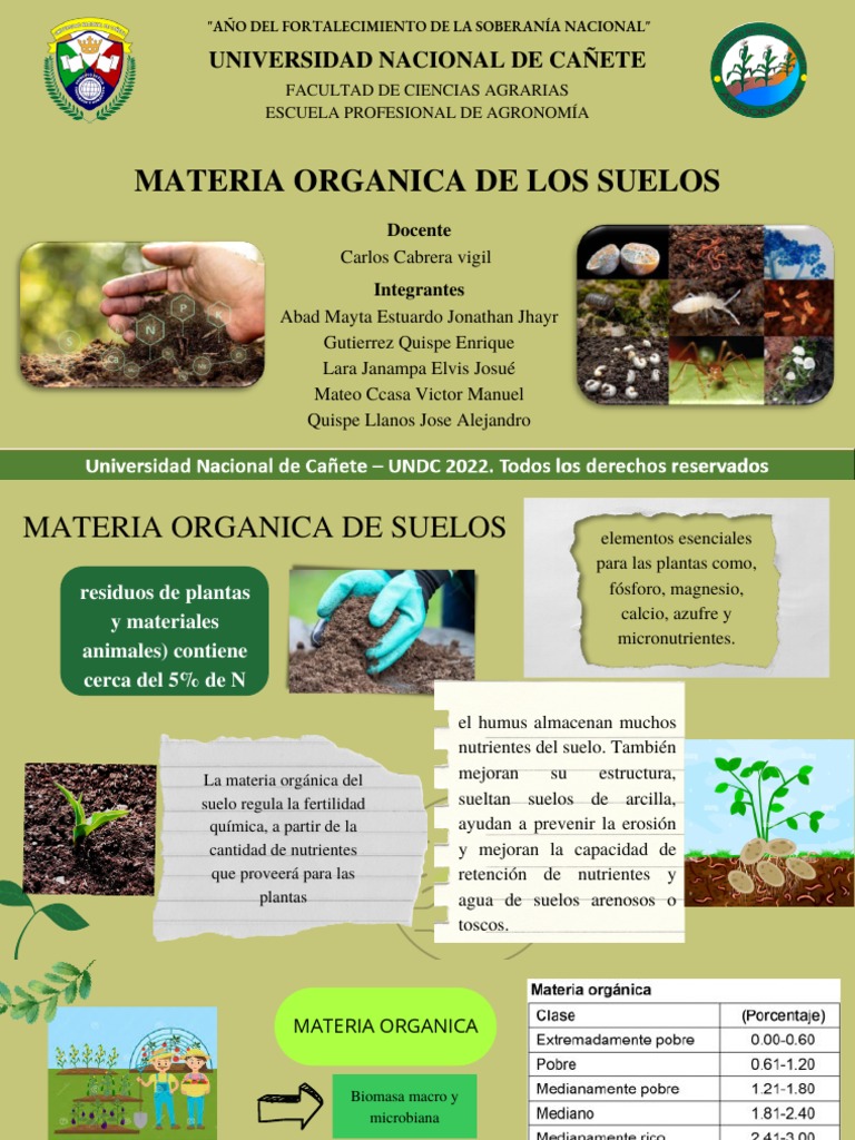 Materia Organica de Los Suelos | PDF