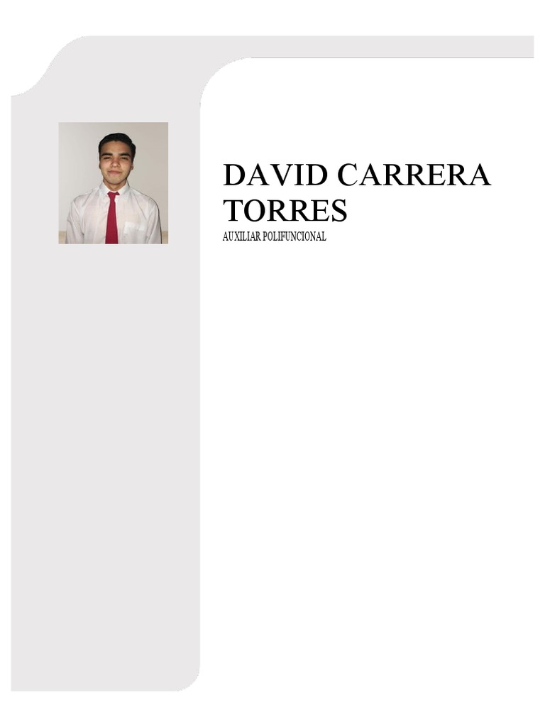 David Carrera Curriculum | PDF